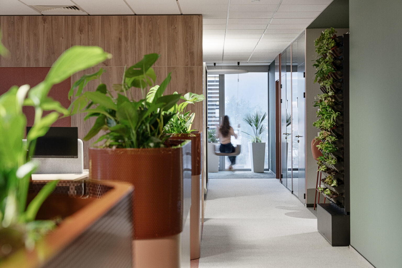 Bayer office inspired by Design Anatomy's Olive Oil - Olivia Centre